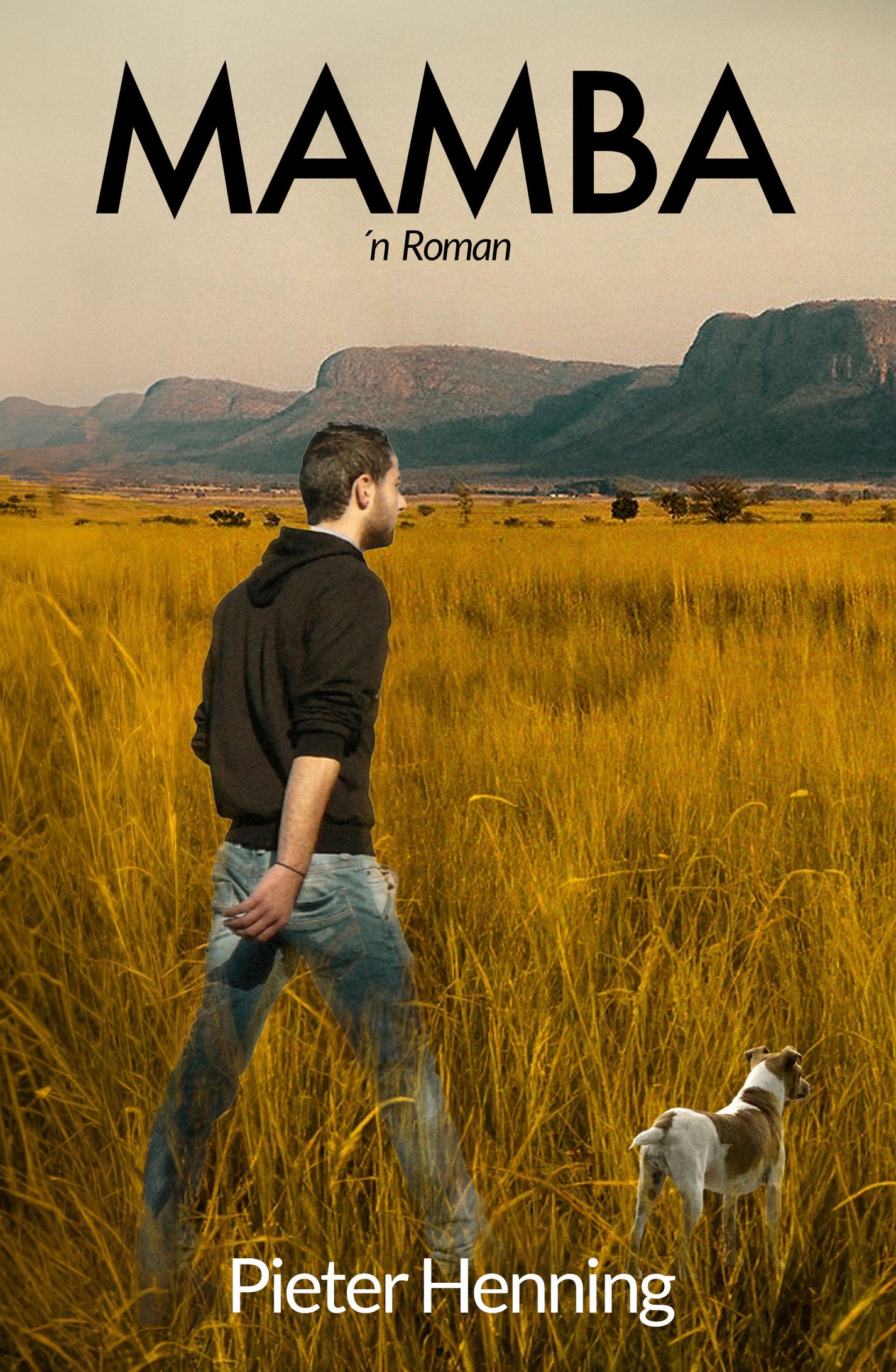 Mamba – Mzansi Books